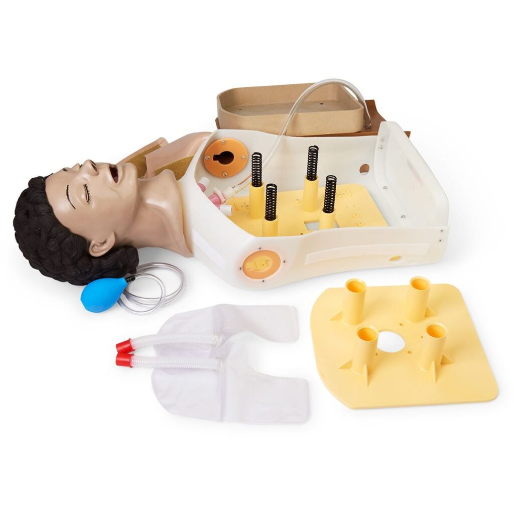 Adult Airway Management Trainer Manikin - Simulaids