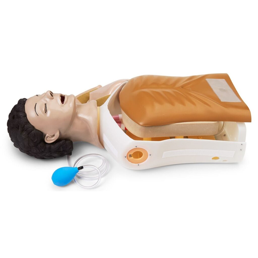 Adult Airway Management Trainer Manikin - Simulaids