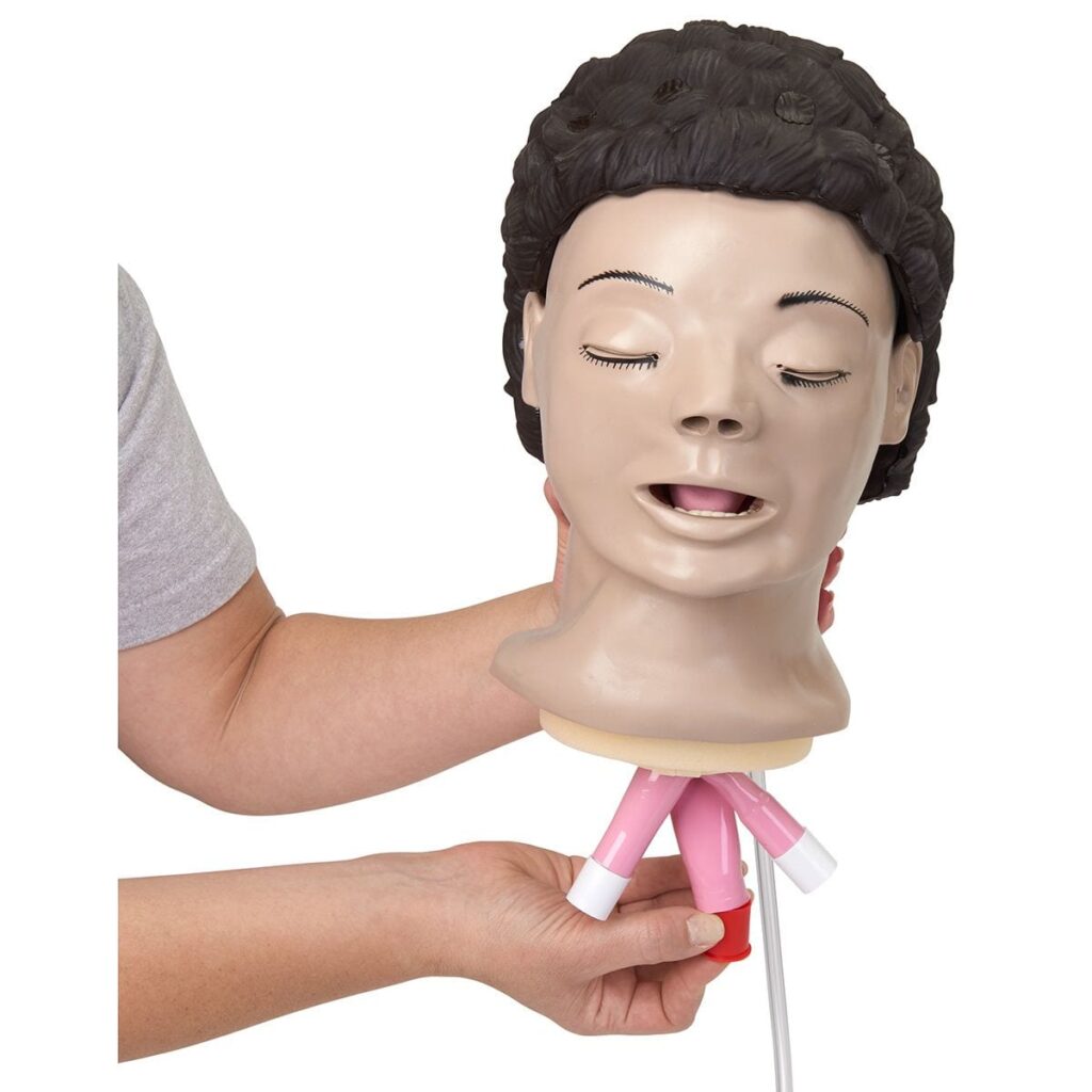 Adult Airway Management Trainer Manikin - Simulaids