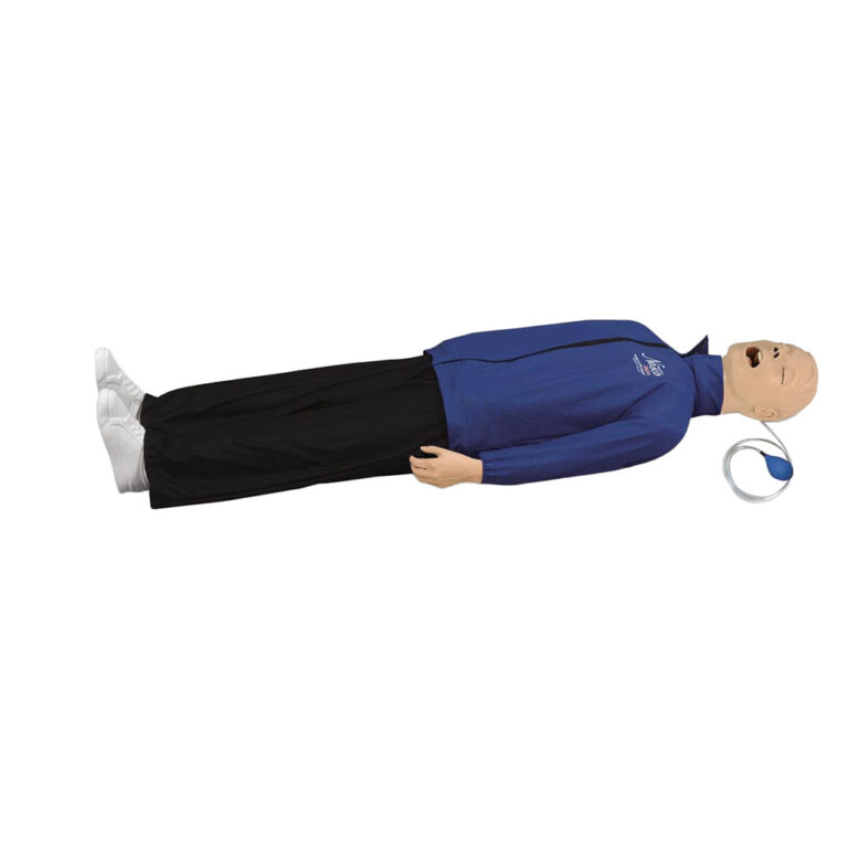 Airway Larry Adult Airway Management Trainer Head | Airway Head